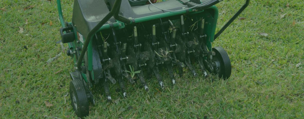 Lawn Core Aeration Services | Springer Landscape Services Ltd.